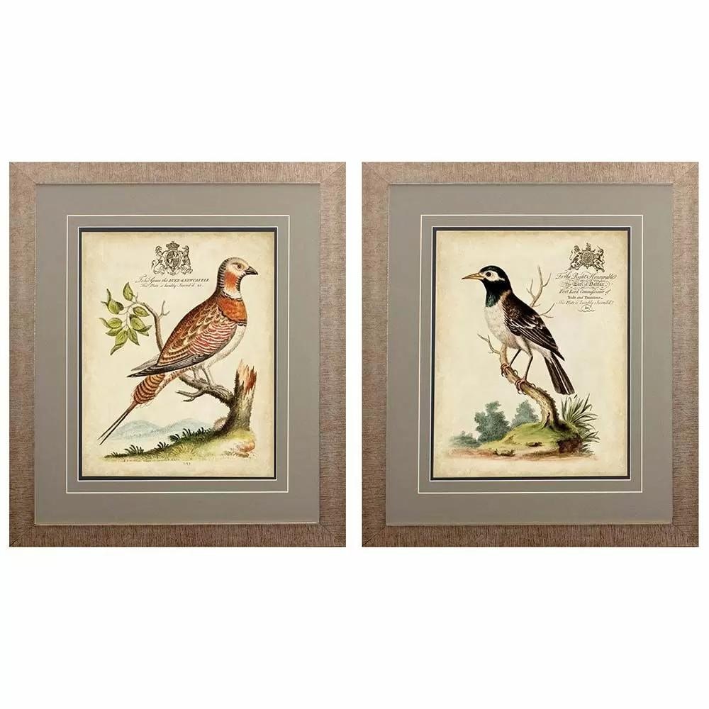 Propac Art Regal Birds A S/2 46603 - Carol House Furniture - Maryland ...