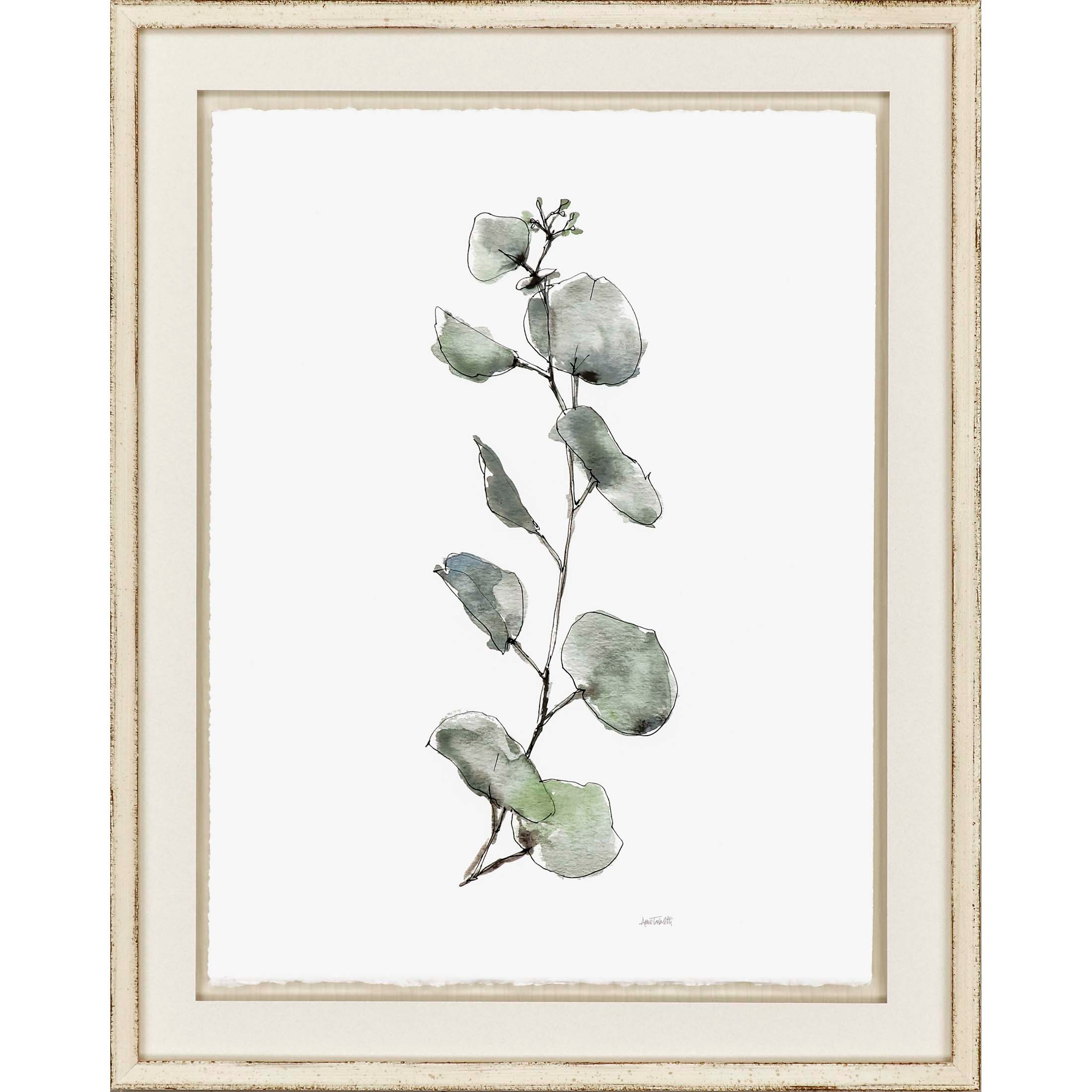 Eucalyptus I