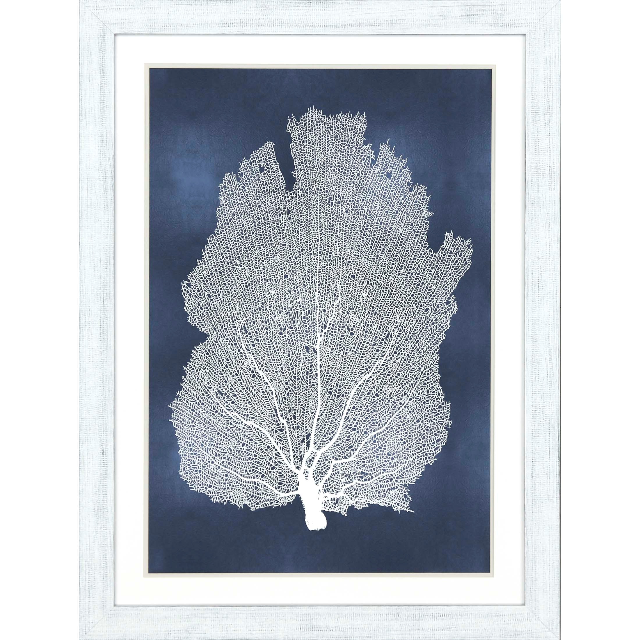 Sea Fan on Blue I