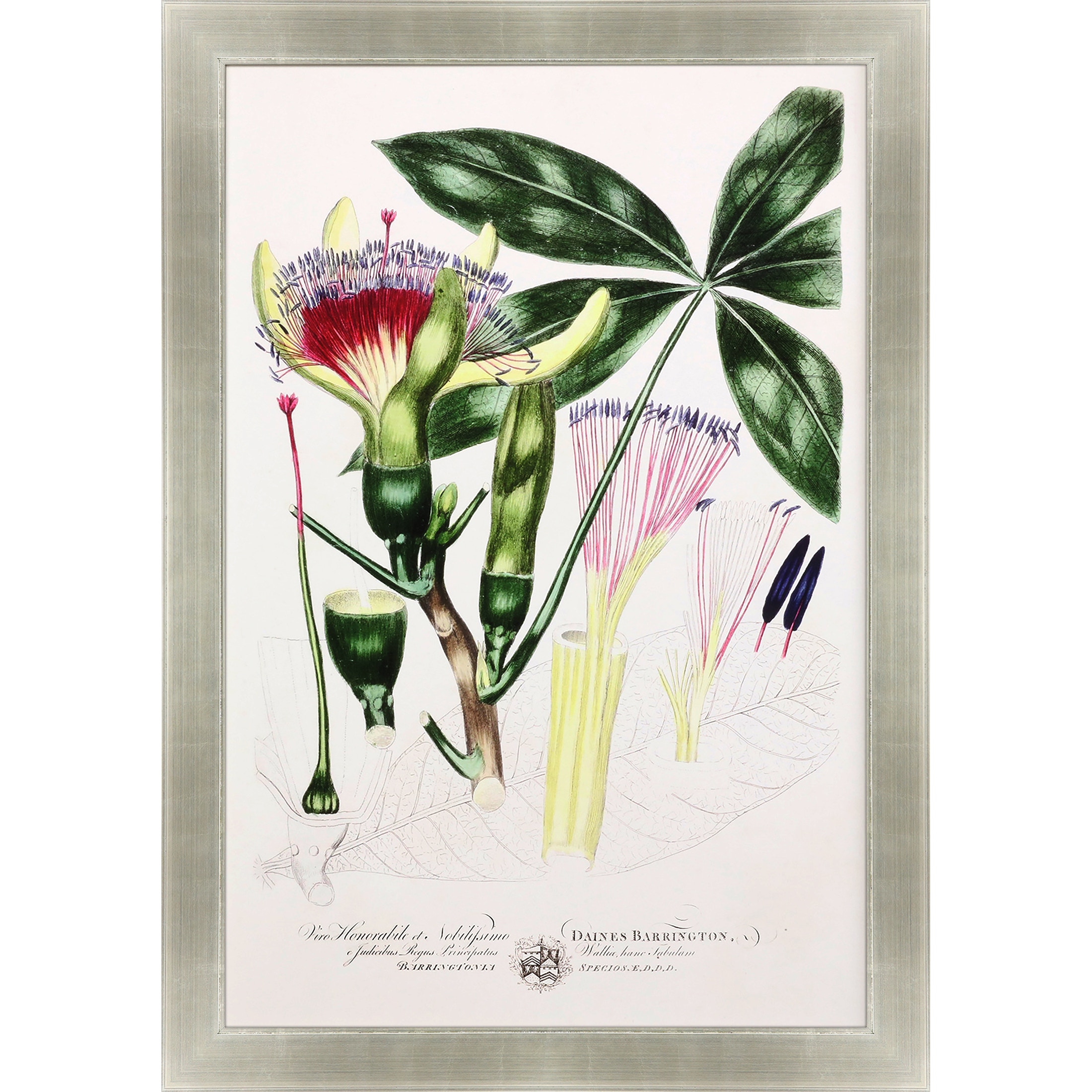 Paragon Art Imperial Tropical II 31015 - Stowers Furniture - San ...