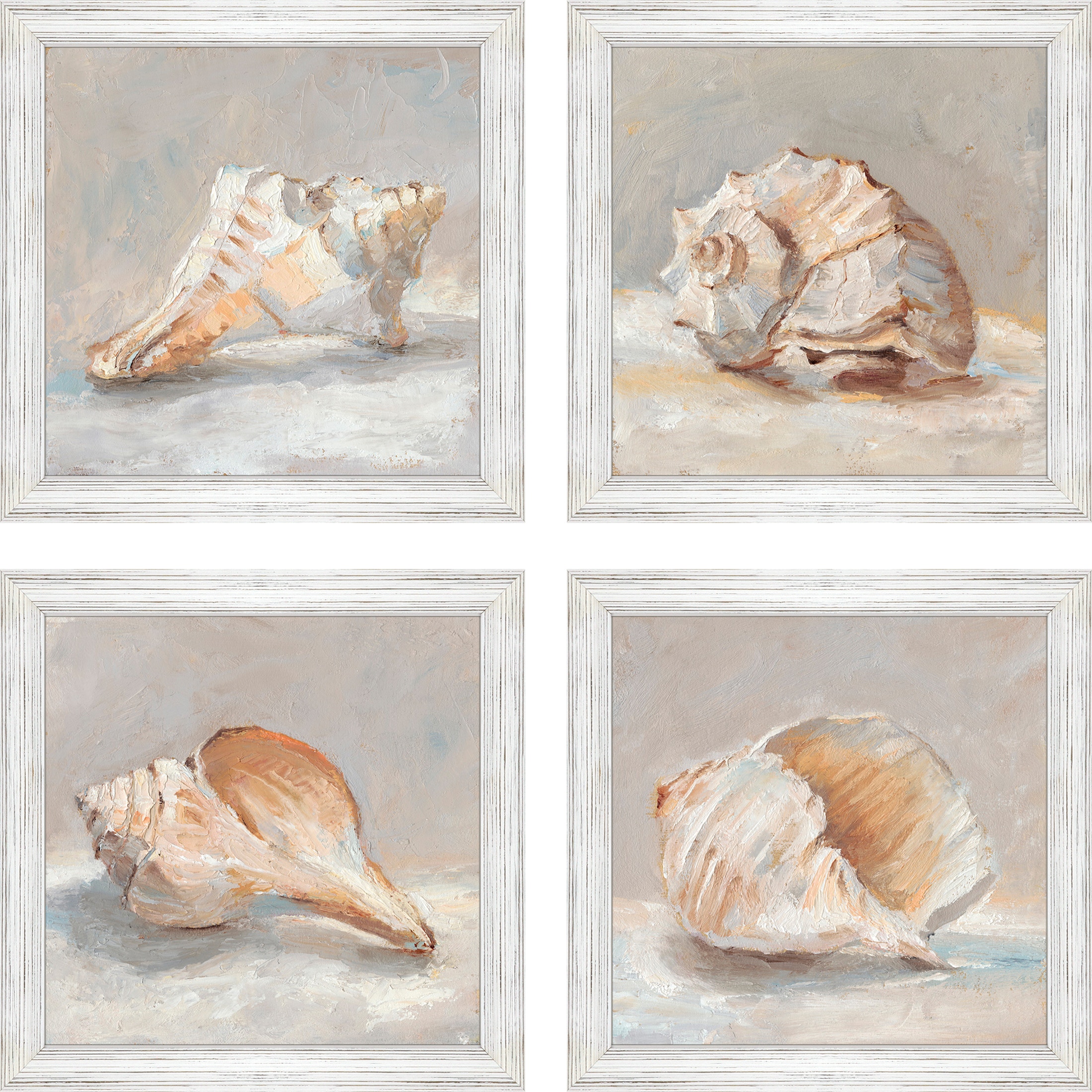 Shell Study S/4