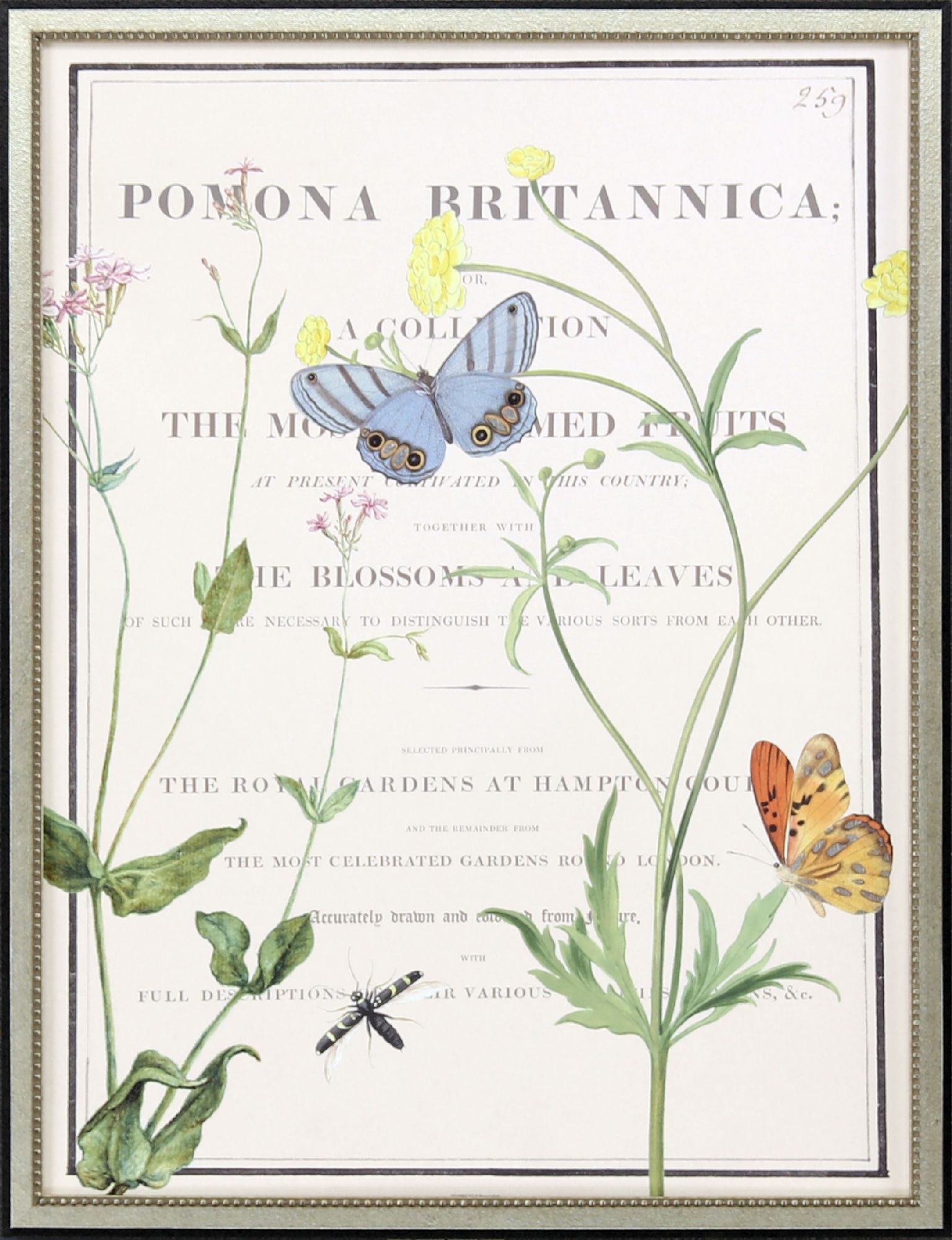 Paragon Art Ephemeral Bloom 31702 - Kiser Furniture - Abingdon, VA