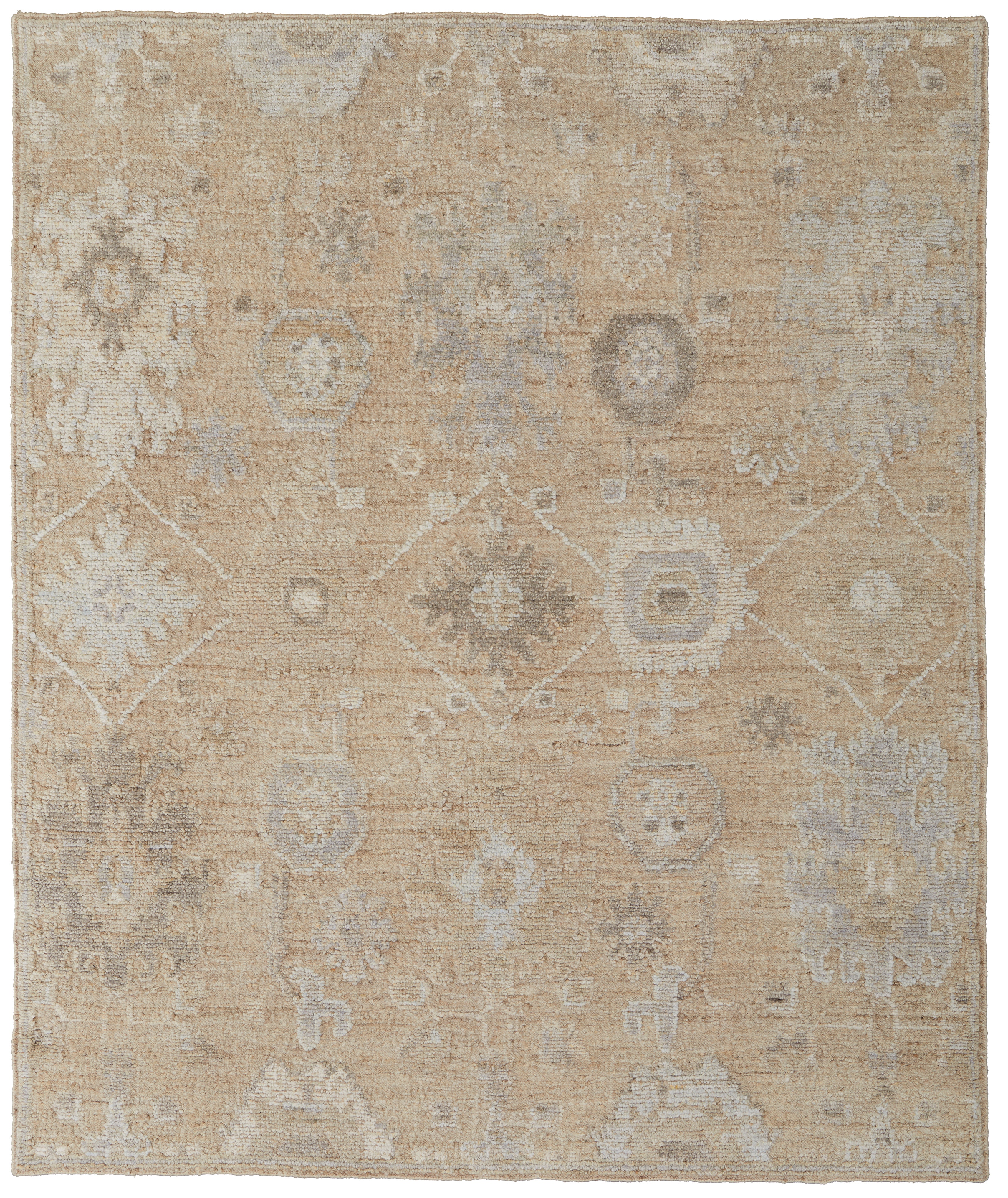 Feizy Area Rugs Grafton Transitional Floral and Botanical, Tan/Gray ...