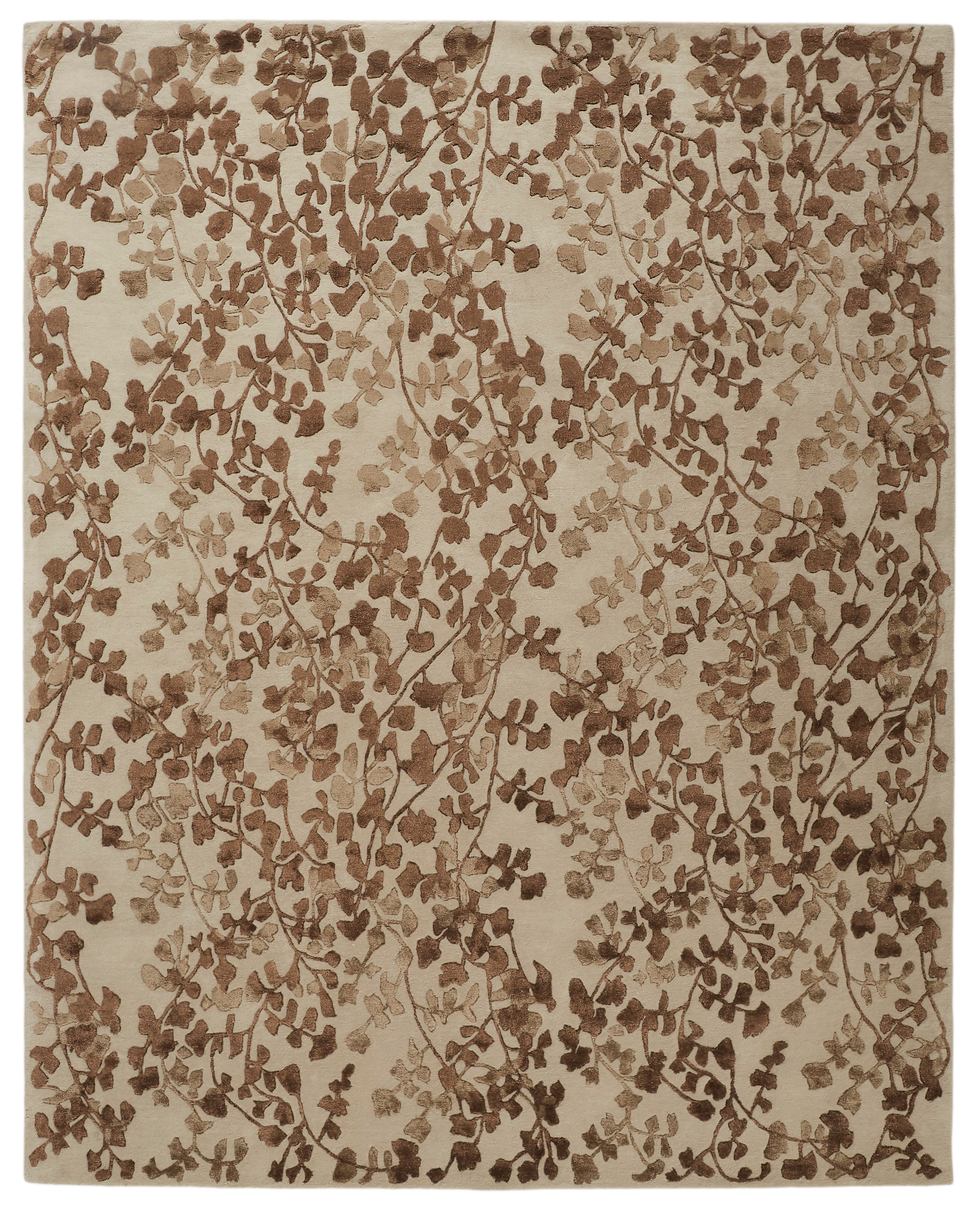 Feizy Area Rugs Bella Transitional Floral and Botanical, Ivory/Taupe ...