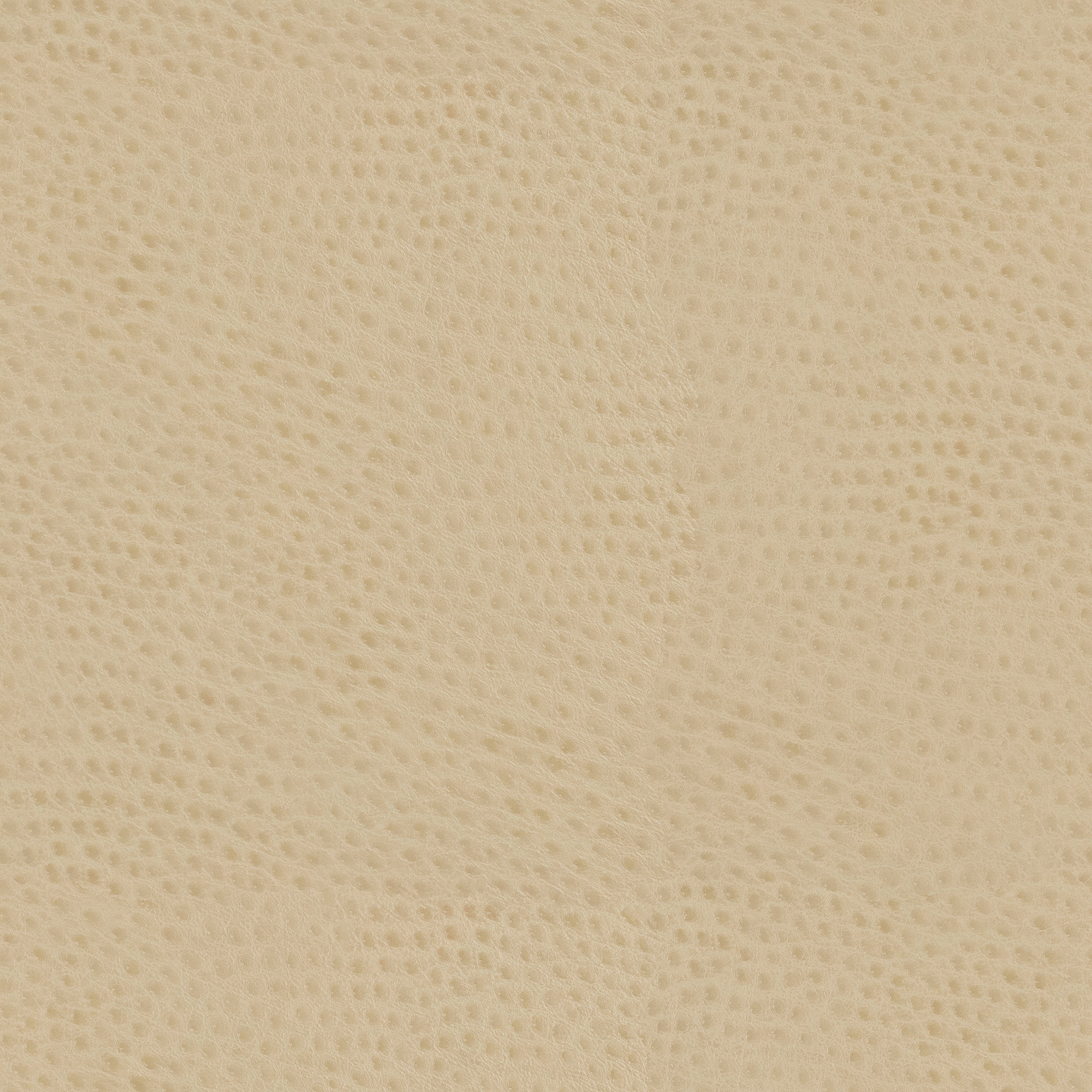 Order Free Fabric Swatches