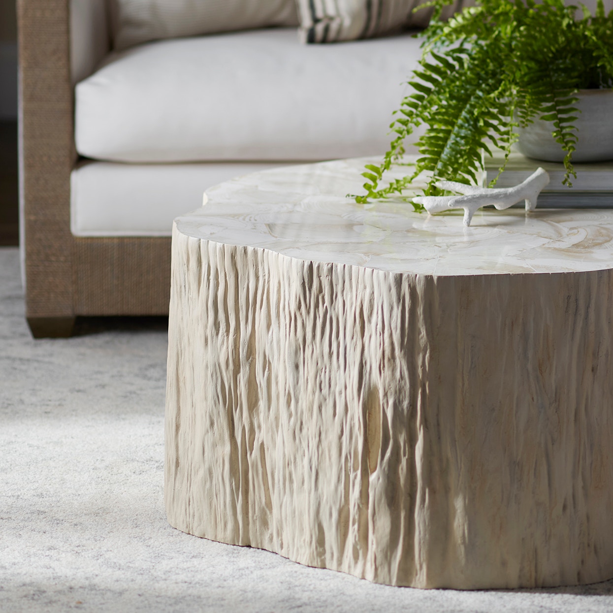 White tree trunk coffee table store