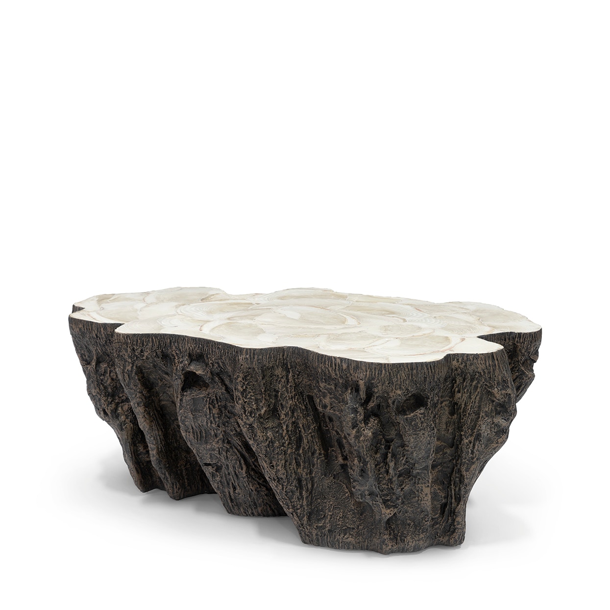 Chloe Fossil Clam Lava Coffee Table | PALECEK