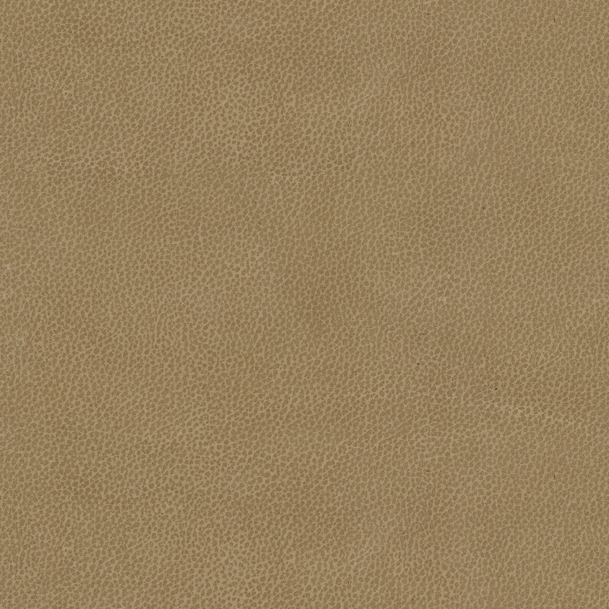 Order Free Fabric Swatches