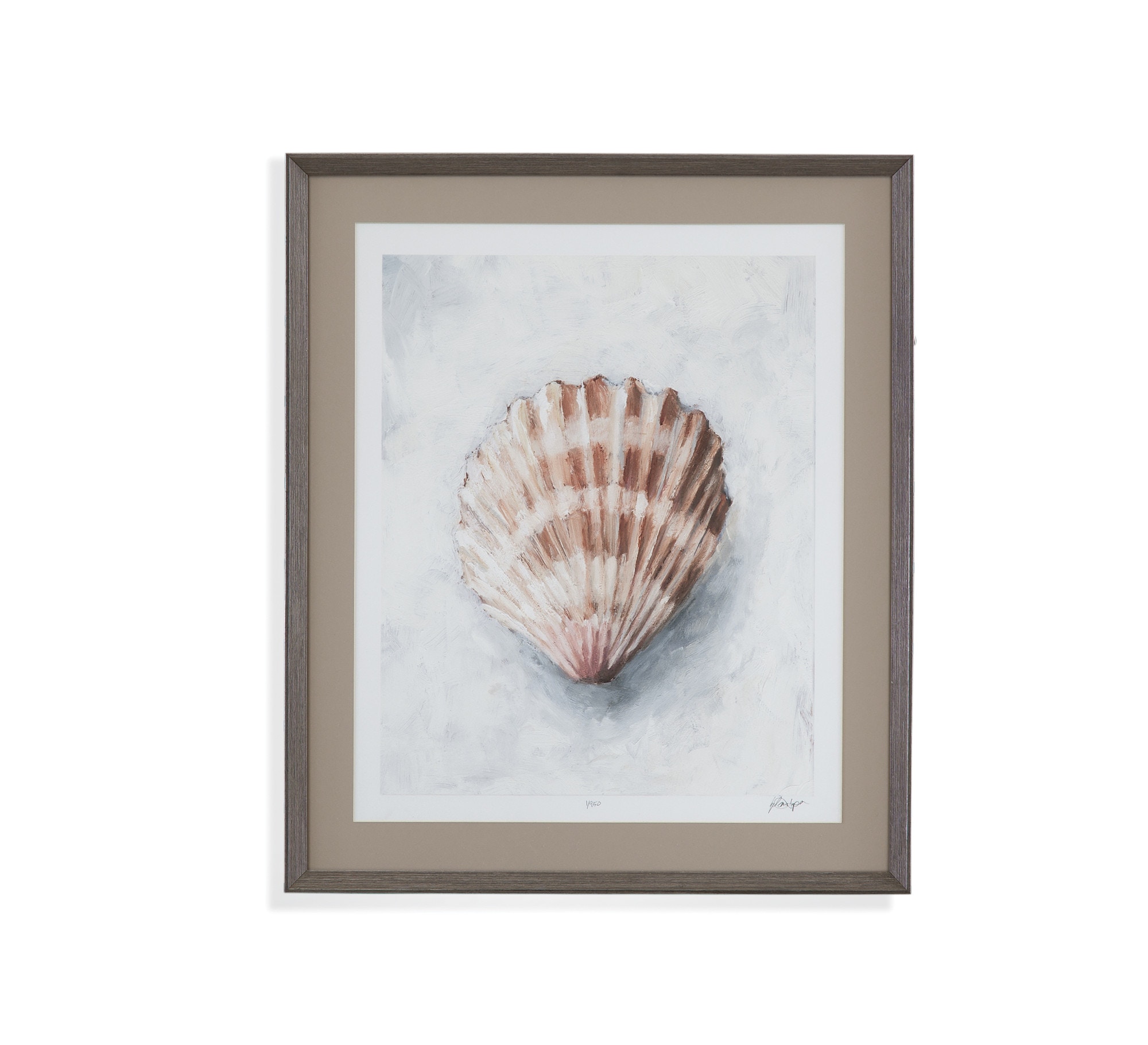 Art - White Shell Study IV