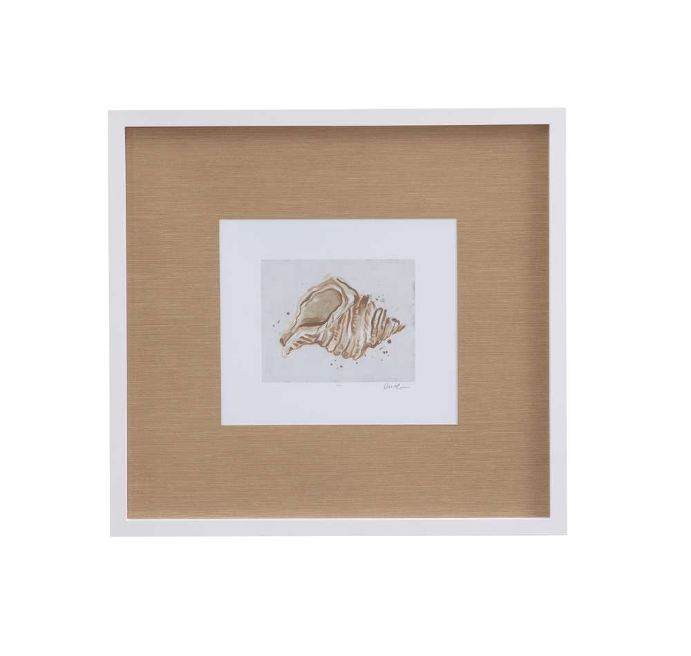 Neutral Shell Fresco II Framed Print
