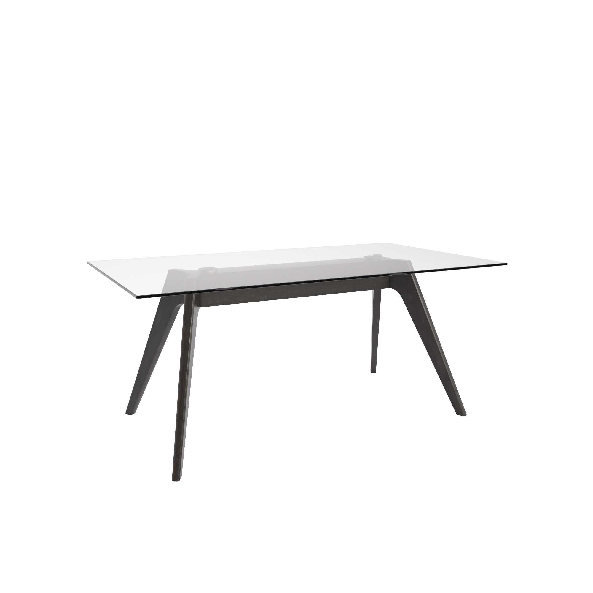 Rectangular Glass Table