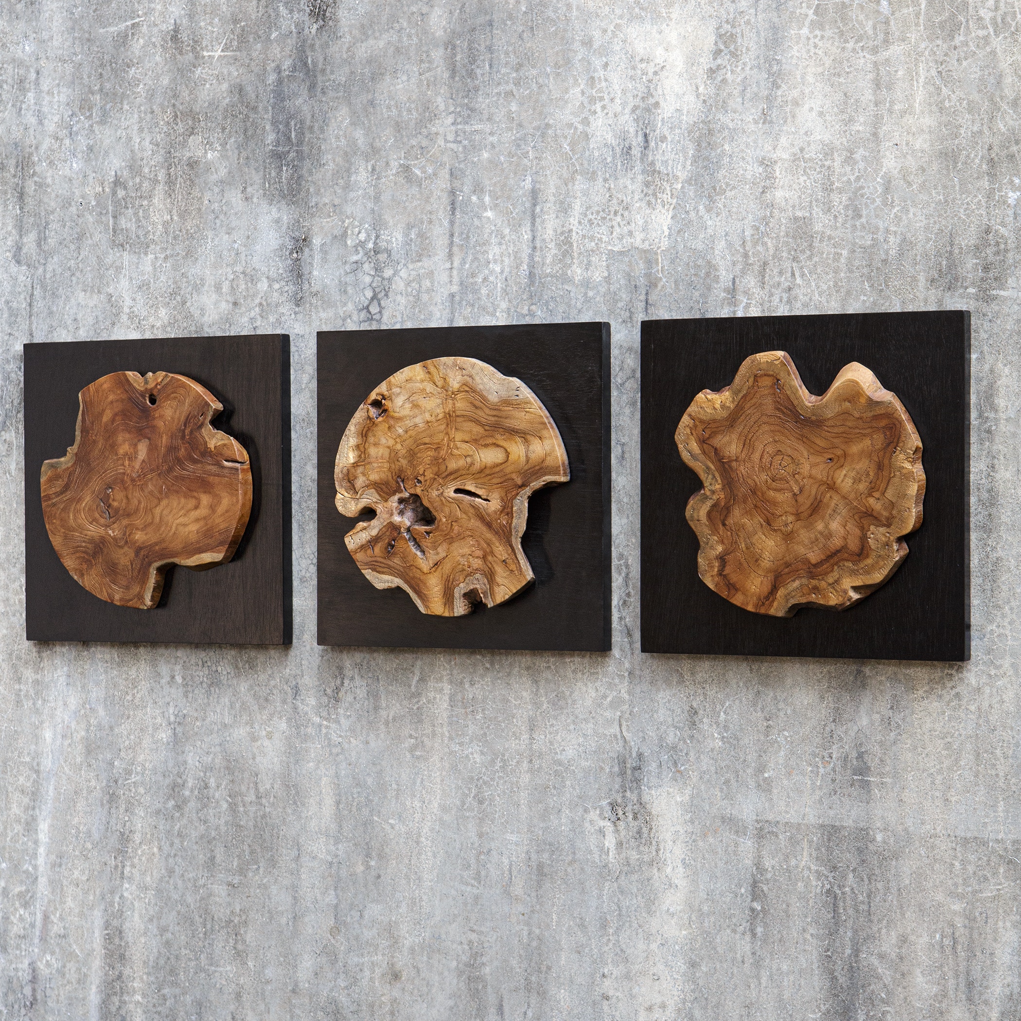 Uttermost Wall Decor Kolini Teak Wood Wall Decor Set/3 04336 - Klingman's