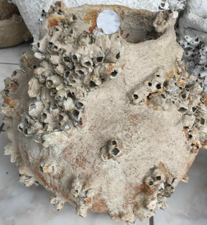 Global Imports Barnacle Pot BB16075 - Exotic Home Coastal Outlet - The ...