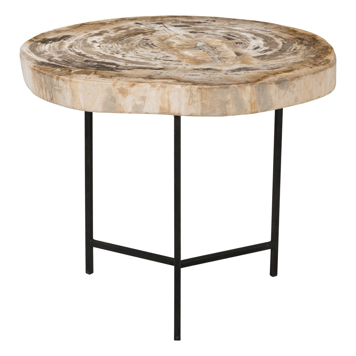 Petrified Wood Accent Table Medium