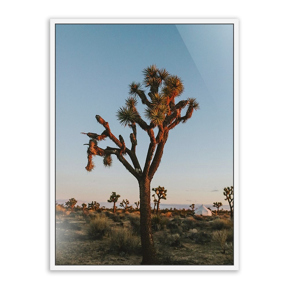 Four Hands Camp Sunrise Joshua Tree By Wesley And Emma Teague 244731 ...