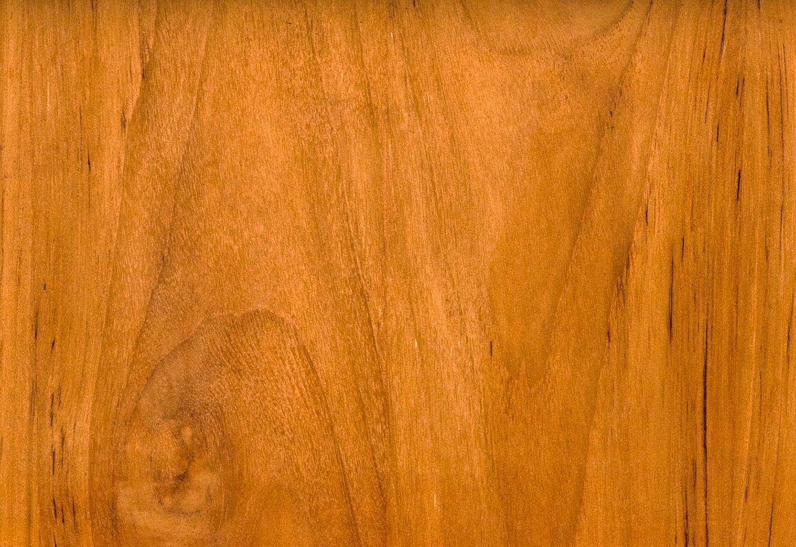 Noir Ungaro Chair, Teak AE-219T - Portland, OR | Key Home Furnishings