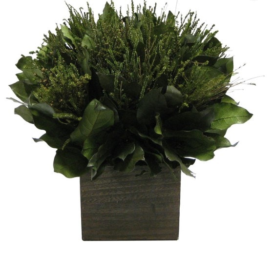 Wd Cube Brn - For Tea Salal