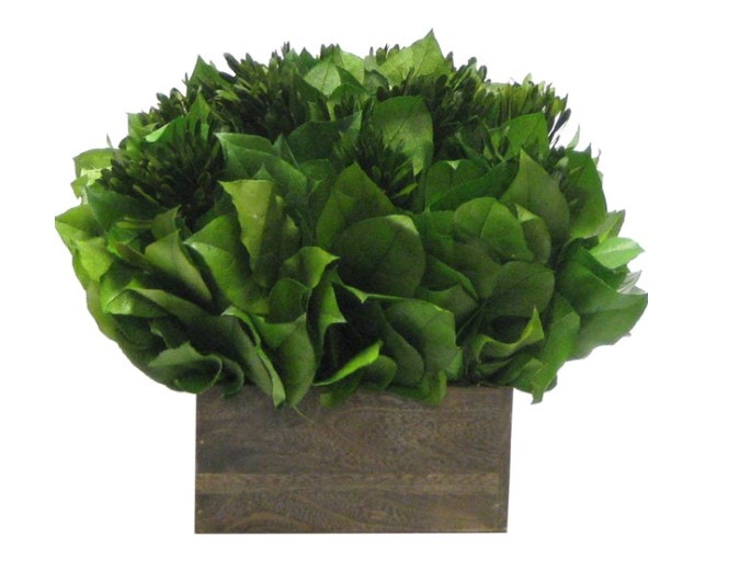 Wd Sm Brn - For Tea Salal