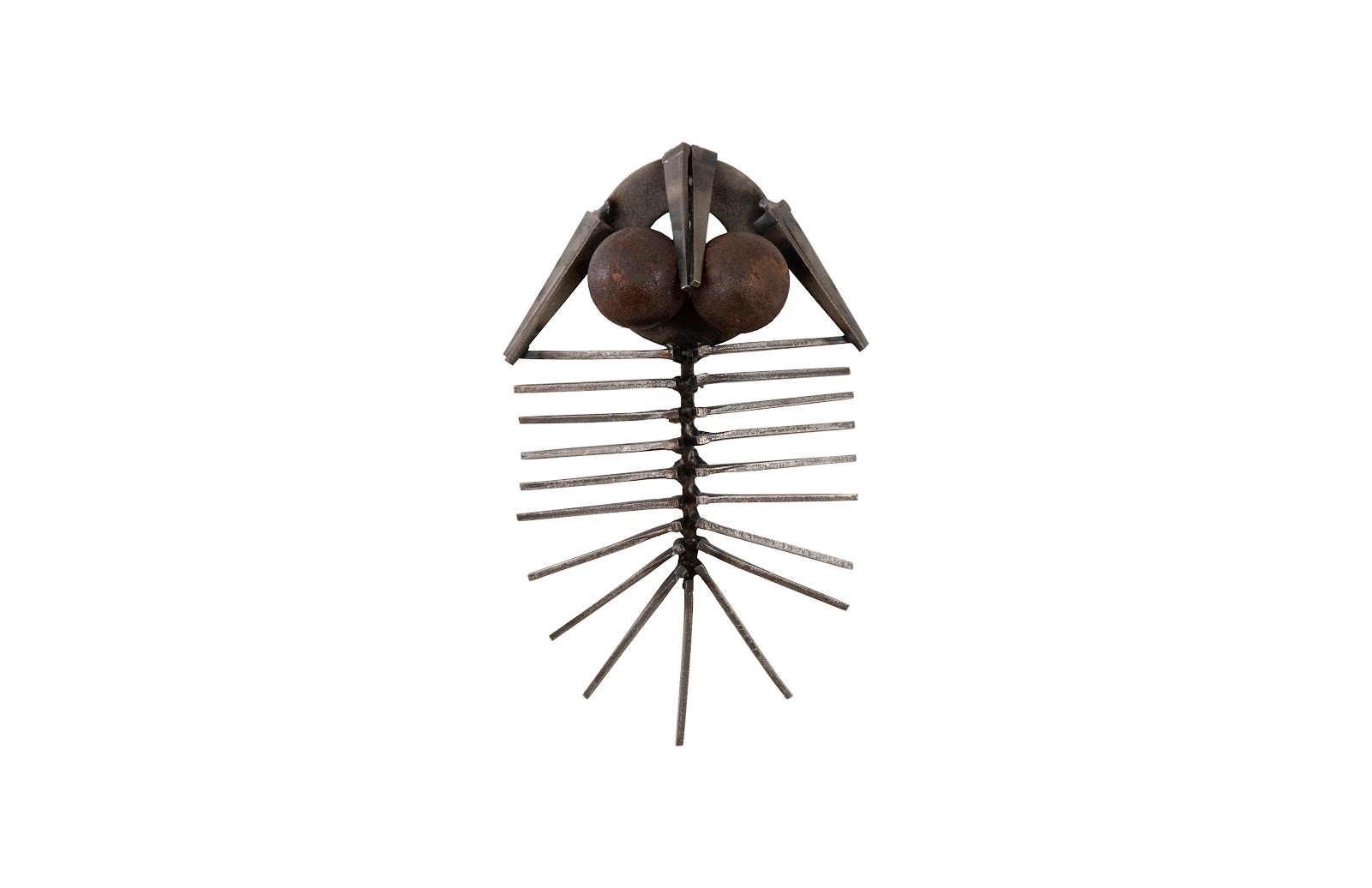 Phillips Collection US107114 Trilobites Wall Decor, Metal