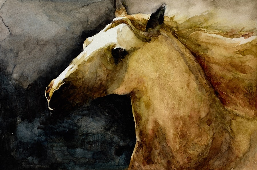 Shop Art Work Denver at Colorado Style | Denver Furniture Store